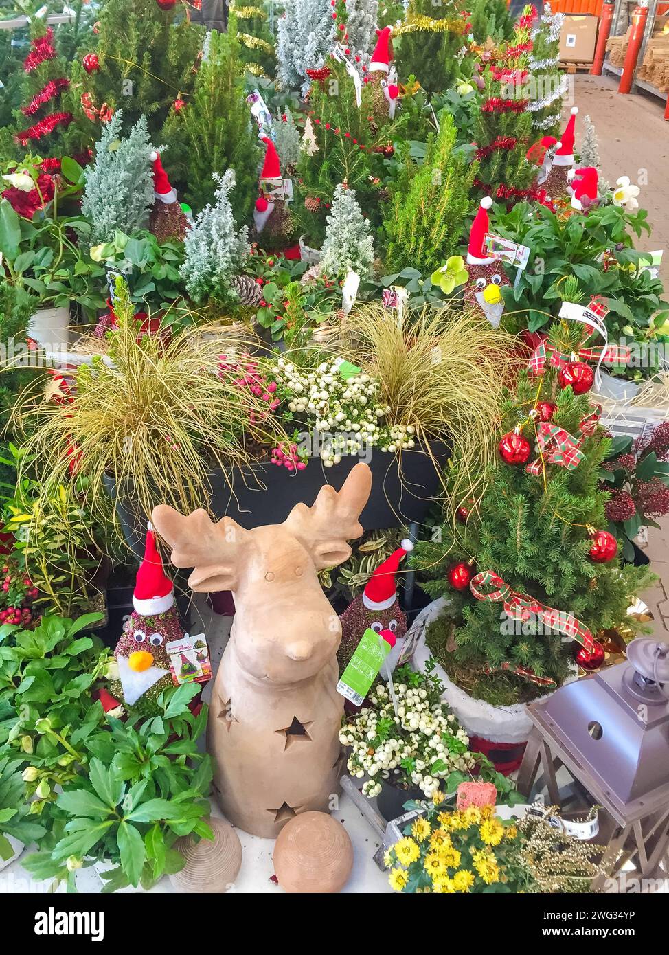 Beautiful decoration. Shopping on traditional Christmas market in ...