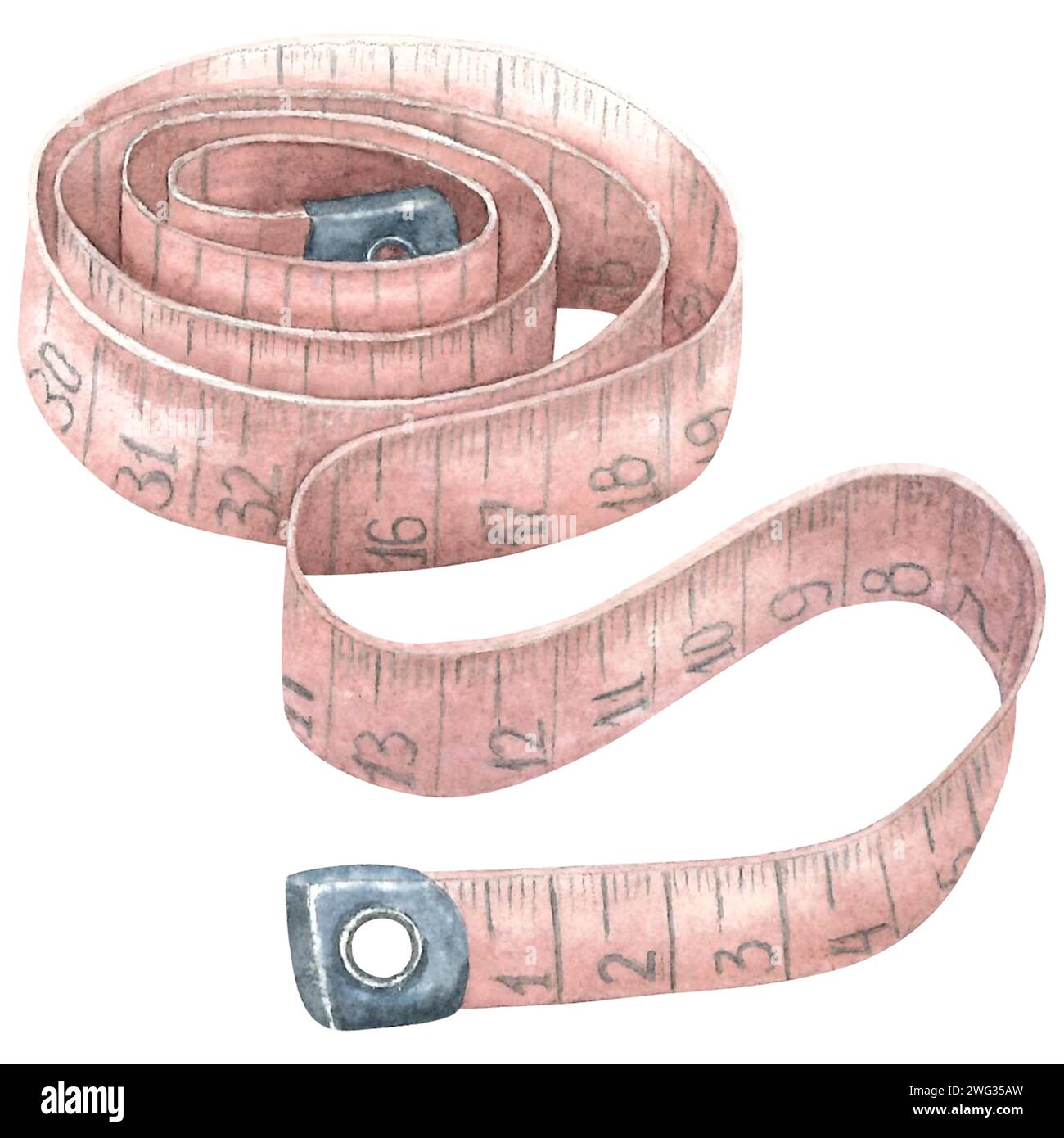 Tape measure. Hand drawn watercolor illustration of a rolled metric ...