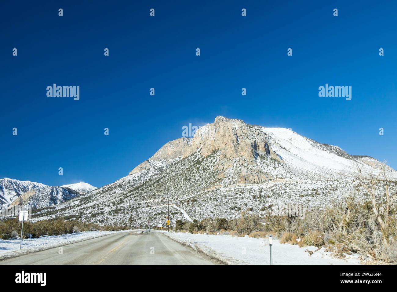 Mount Charleston Recreation Area, Nevada Stock Photo - Alamy