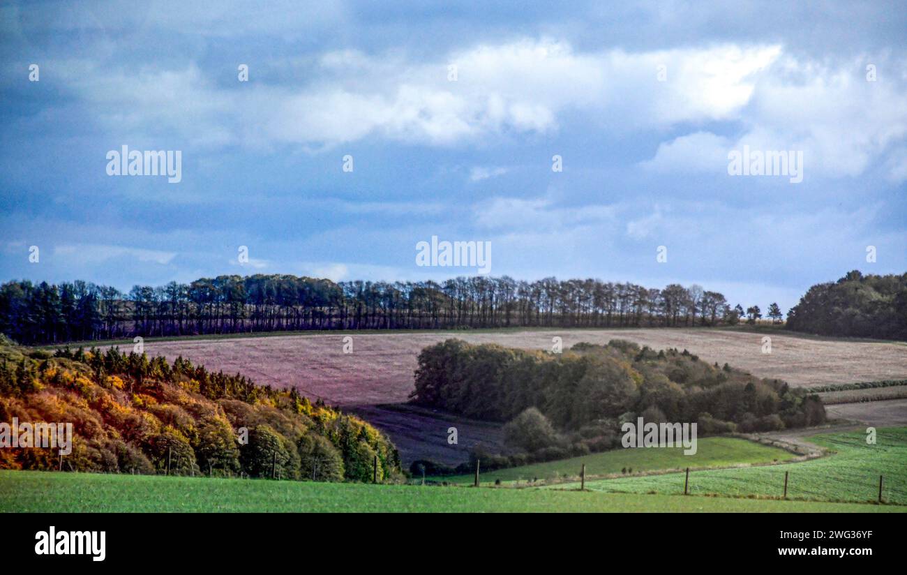 Vibrant green and red trees fill a vast field, with an expansive open ...