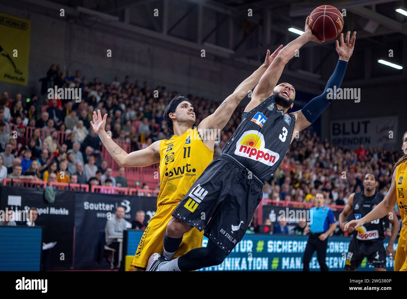 Erol Ersek (Tigers Tuebingen, #11) Maurice Stuckey (HAKRO Merlins ...