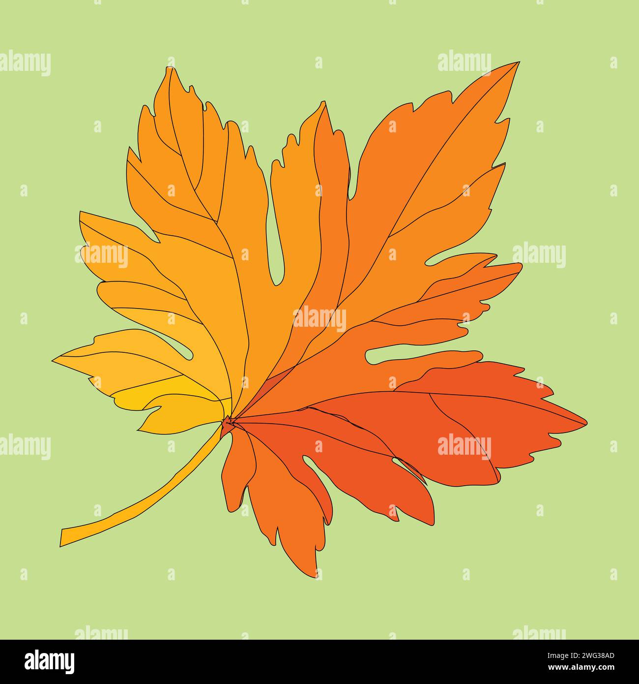 Leaf vector vectors hi-res stock photography and images - Alamy