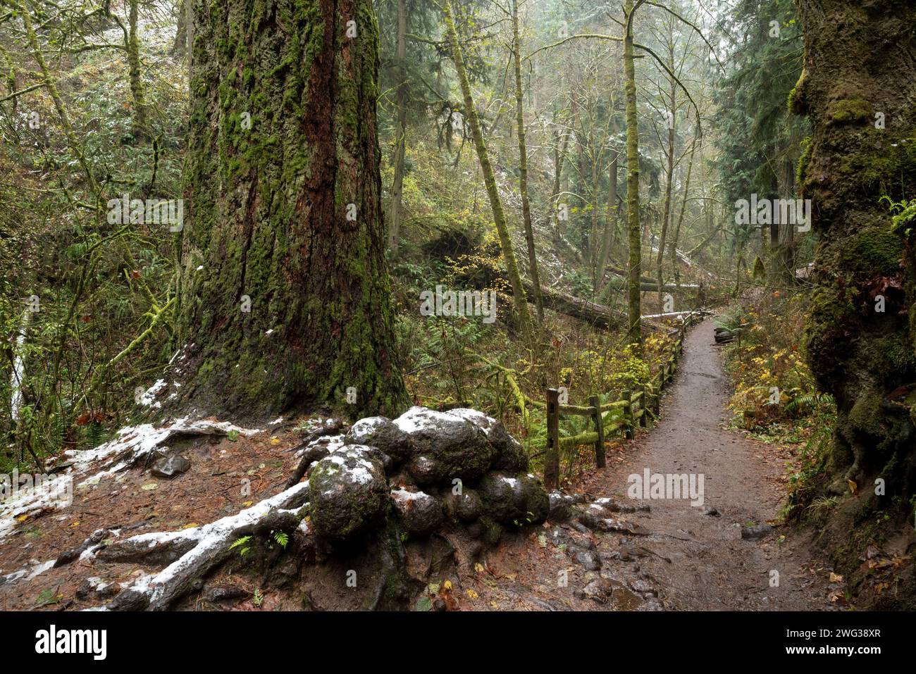 Lower macleay trail hi-res stock photography and images - Alamy