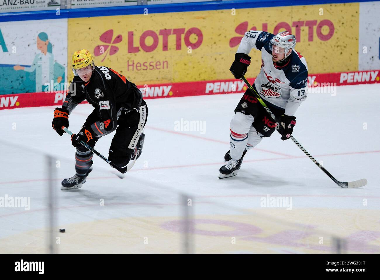 Frankfurt, Deutschland. 02nd Feb, 2024. Reid Mcneill (Loewen Frankfurt ...