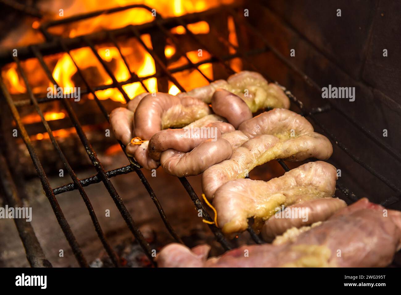 Cow bowels presented on a grill. Argentine Traditional cuisine Stock ...