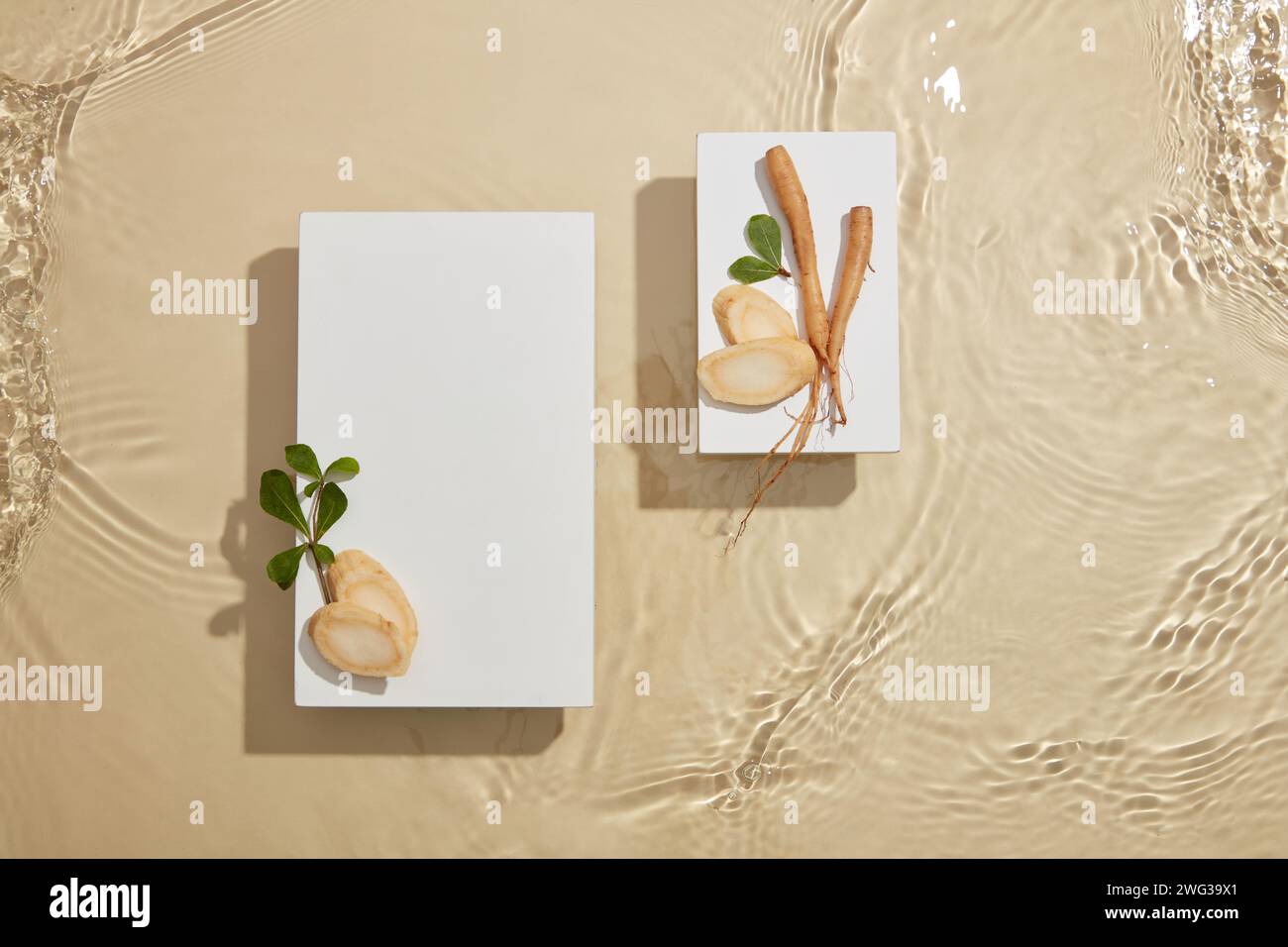 Ginseng root and ginseng slices on two rectangle podiums decorated on ...