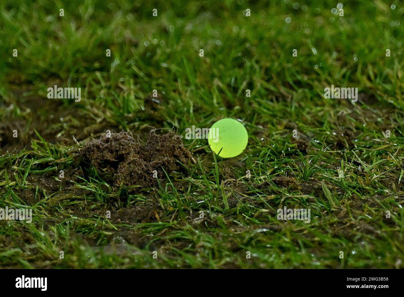 02.02.2024, Fussball, Bundesliga, 20. Spieltag Saison 2023/2024, 1.FC ...