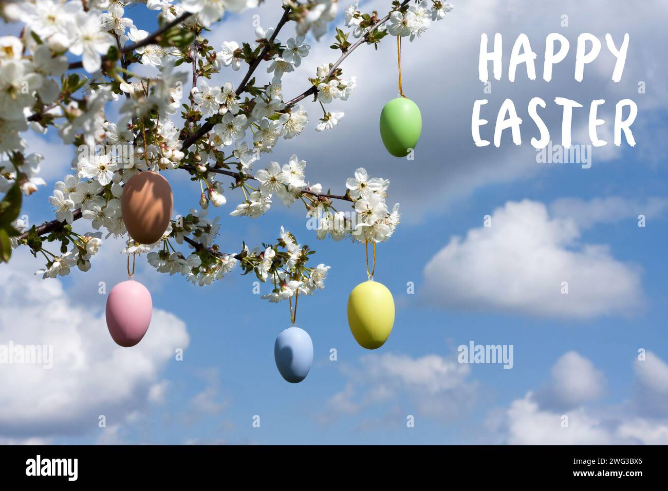 Greeting card with wishes of Happy Easter. branches of cherry blossoms ...