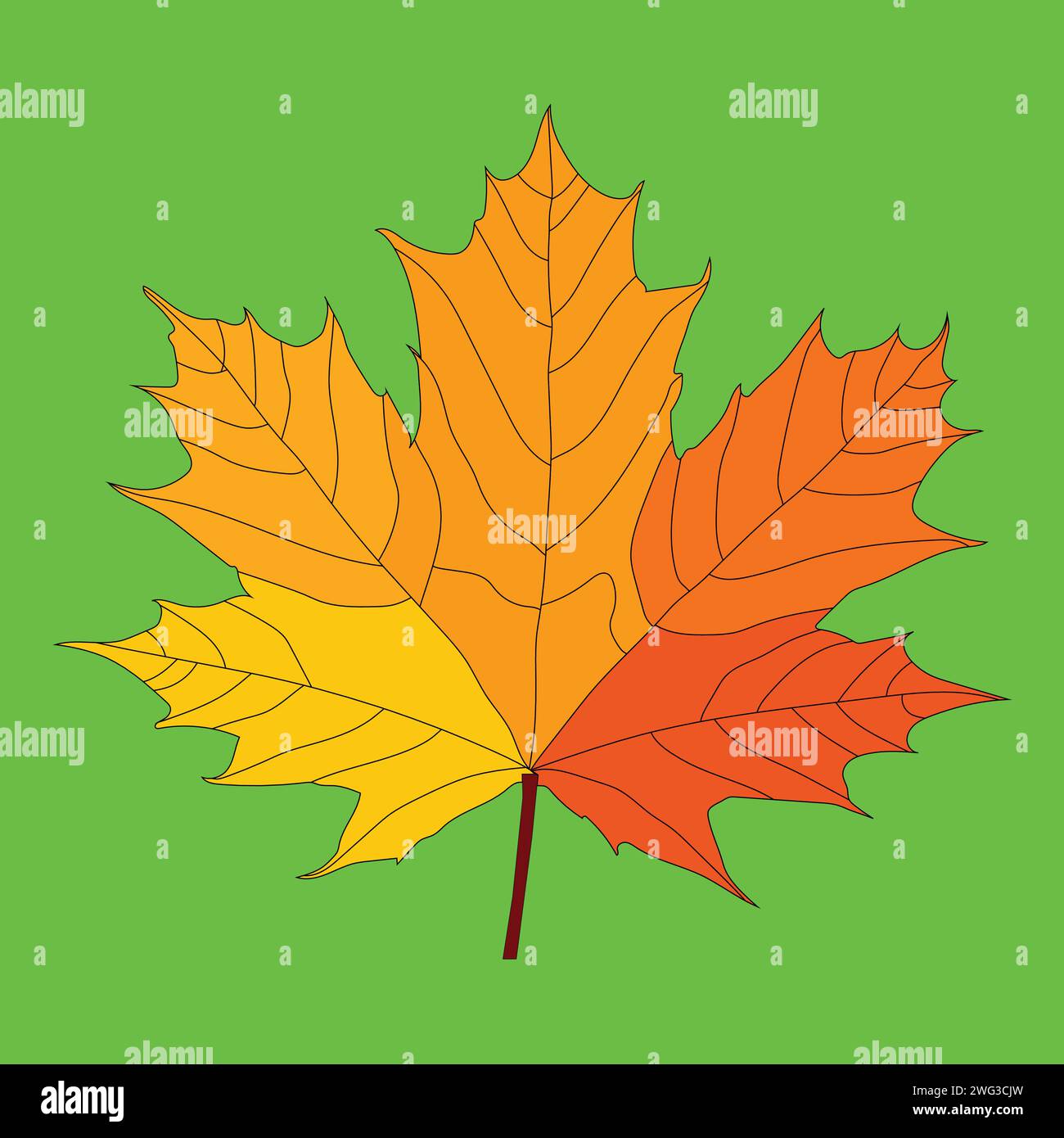 Leaf vector vectors hi-res stock photography and images - Alamy