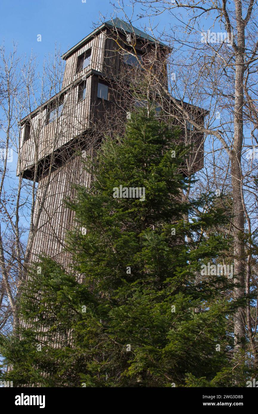 In spring, the 22.5-meter-high Lupfen Tower stands prominently visible ...
