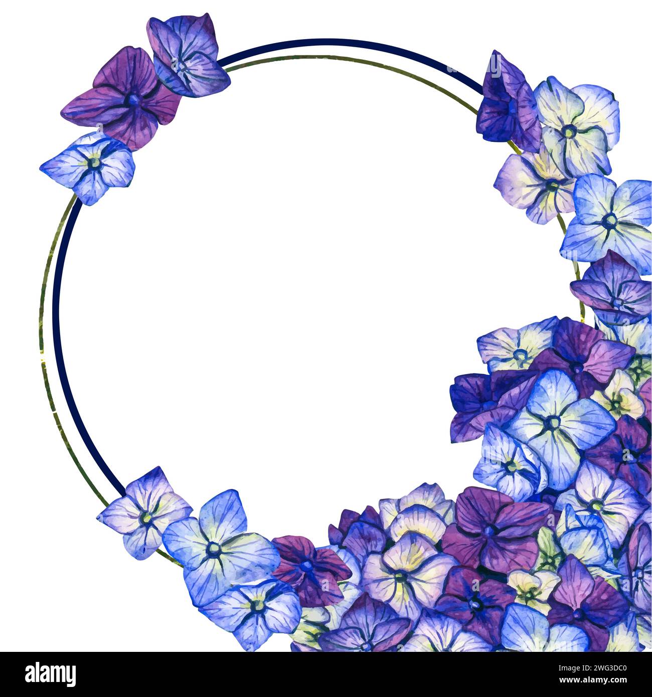 White blooming hydrangea Stock Vector Images - Alamy