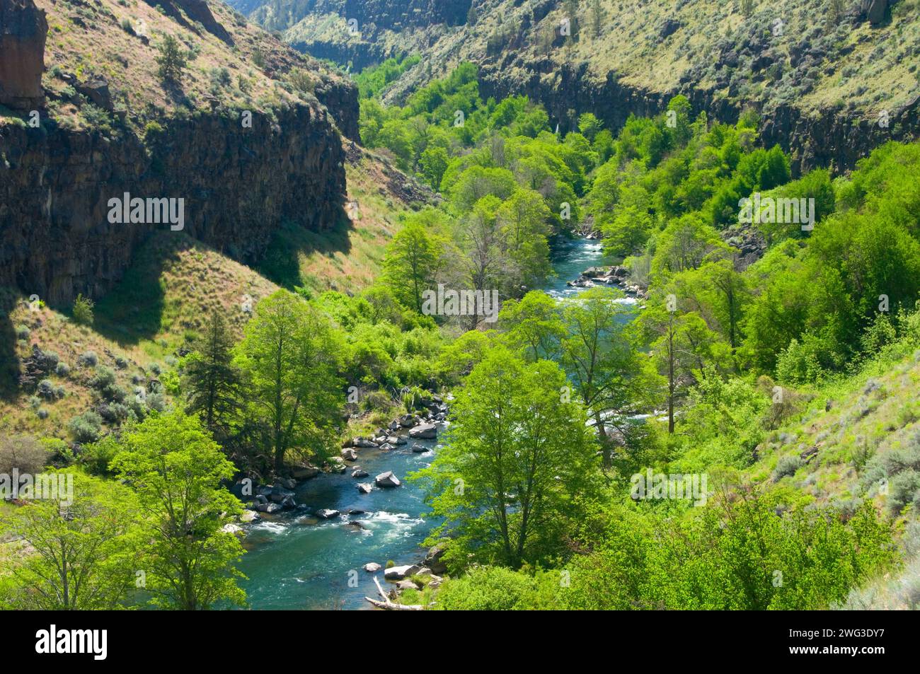 Crooked River canyon from Otter Trail, Crooked Wild & Scenic River ...