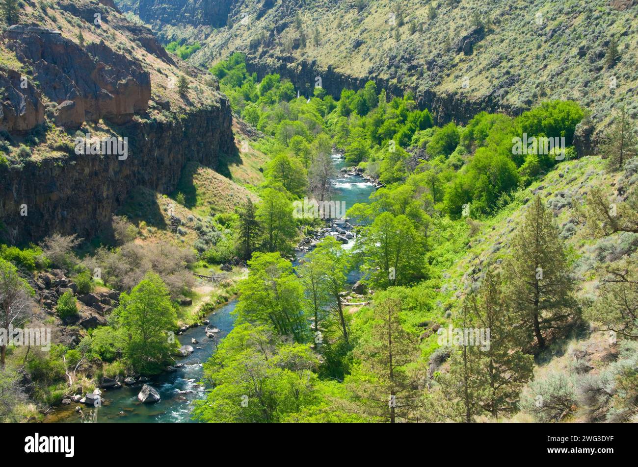 Crooked River canyon from Otter Trail, Crooked Wild & Scenic River ...