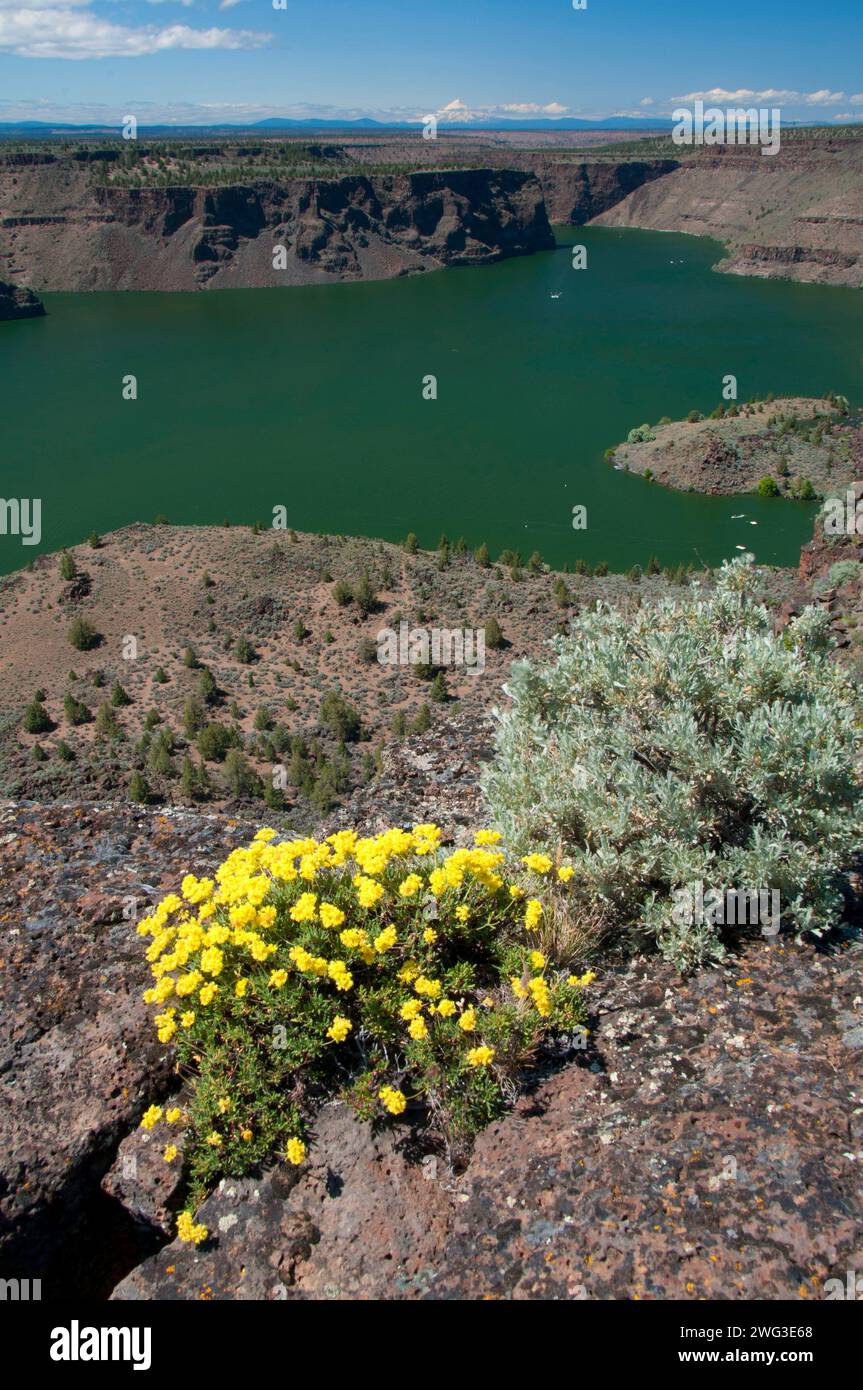 Lake Billy Chinook, Cove Palisades State Park, Oregon Stock Photo - Alamy