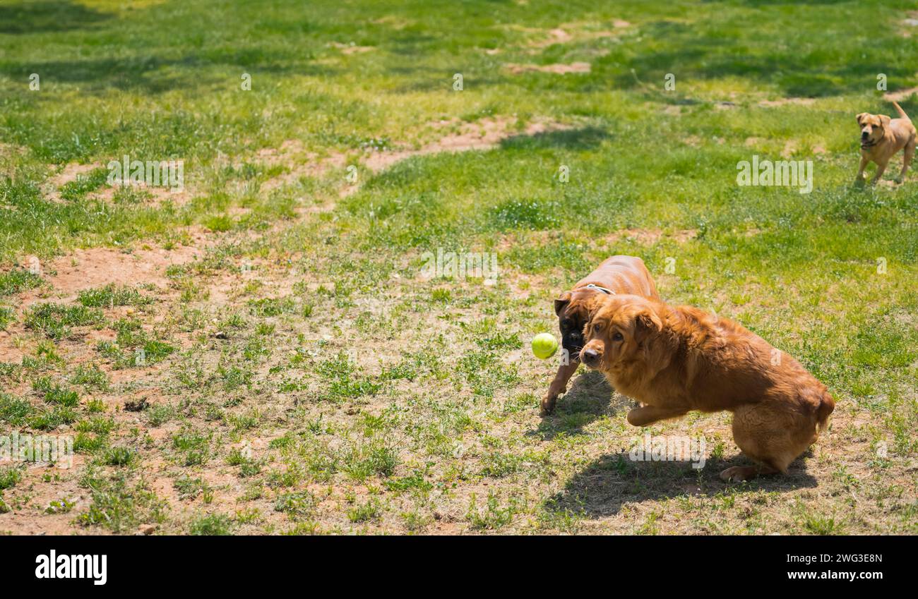 Dynamic chase hi-res stock photography and images - Alamy