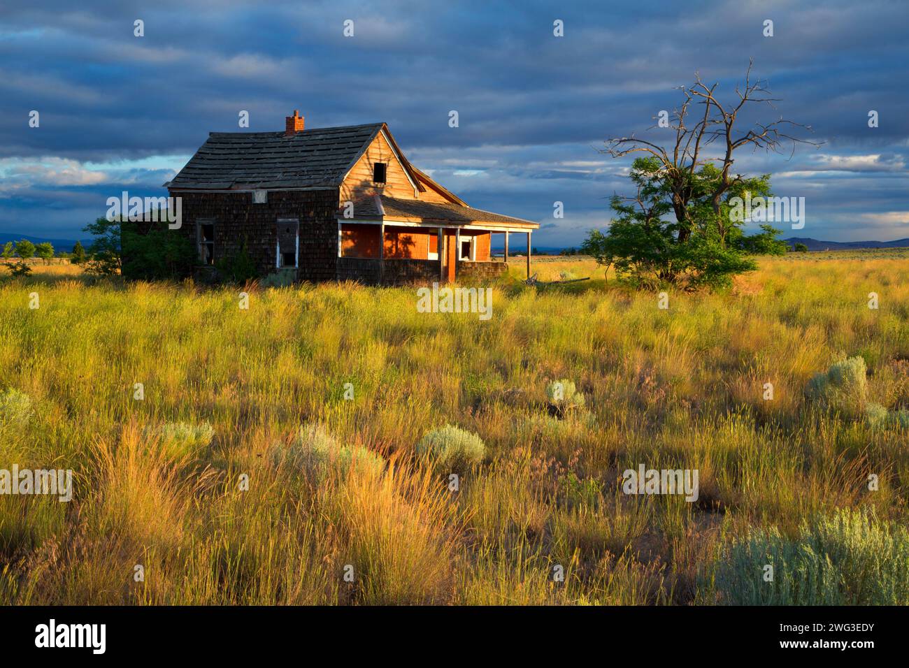 Abandoned homestead, Madras, Jefferson County, Oregon Stock Photo - Alamy