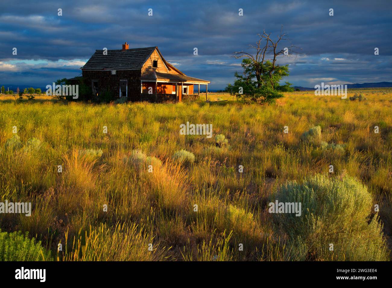 Abandoned homestead, Madras, Jefferson County, Oregon Stock Photo - Alamy