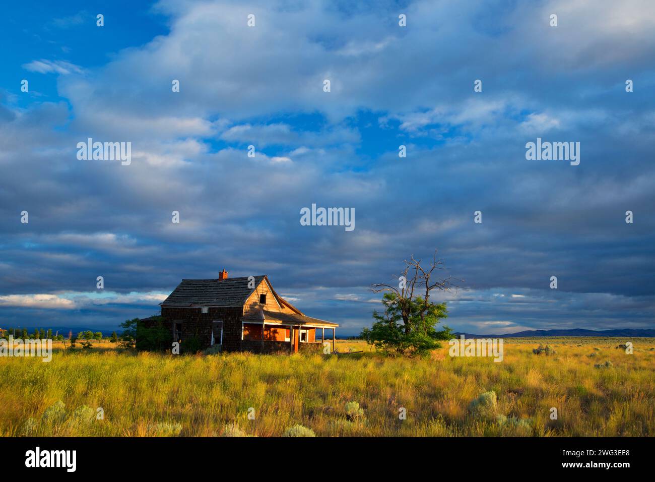 Abandoned homestead, Madras, Jefferson County, Oregon Stock Photo - Alamy