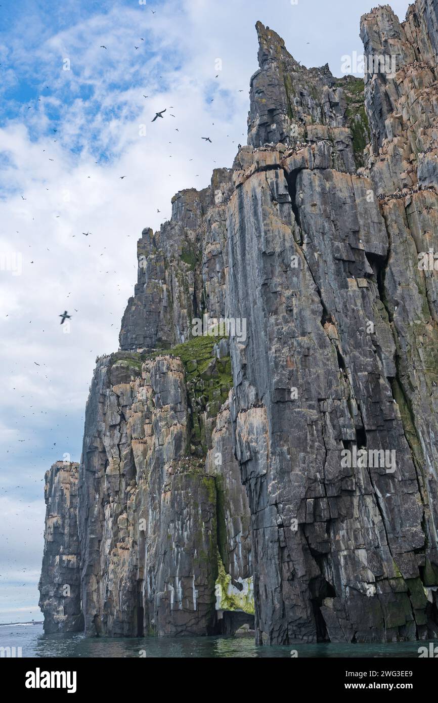 Steep Bird Nesting Cliffs Rising From the Arctic Shore of Alkefjelletof ...