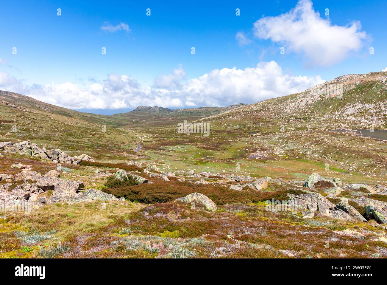 Australian landscape in Kosciusko national park, summer 2024, New South ...