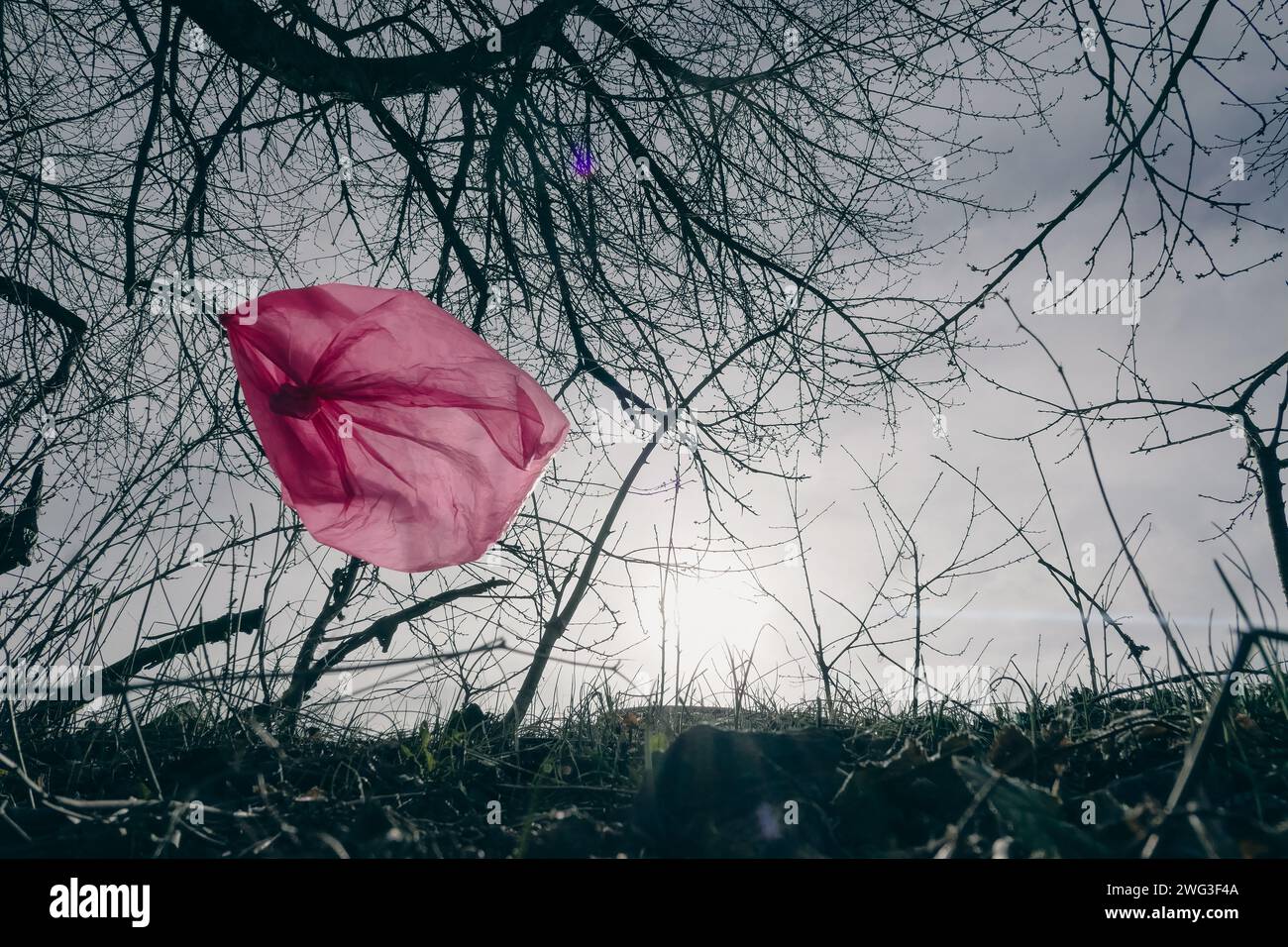 Plastic bag stuck hi-res stock photography and images - Alamy