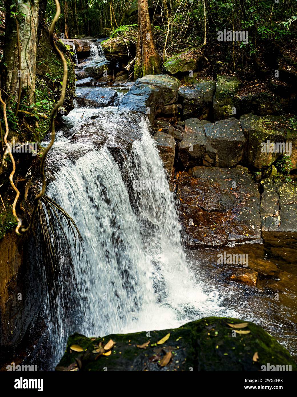 Suoi Tranh Waterfall Phu Quoc Island Vietnam Stock Photo - Alamy