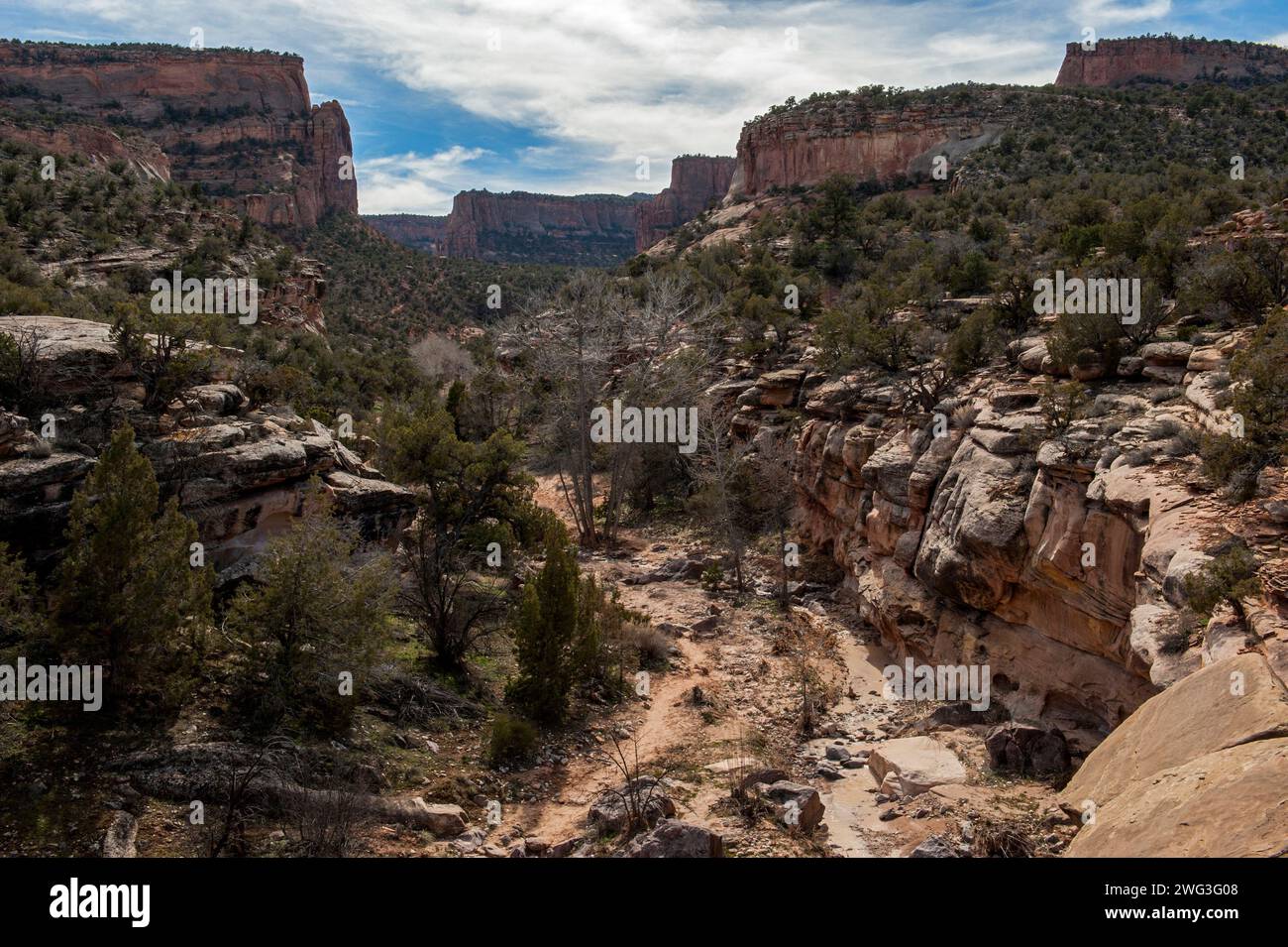 The desert wash below the mouth of Devil's Canyon near Fruita, Colorado ...