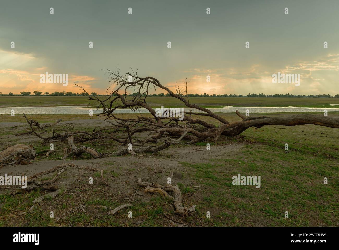 Landscape On The Okavango River In The East Of Rundu, Namibia Stock ...