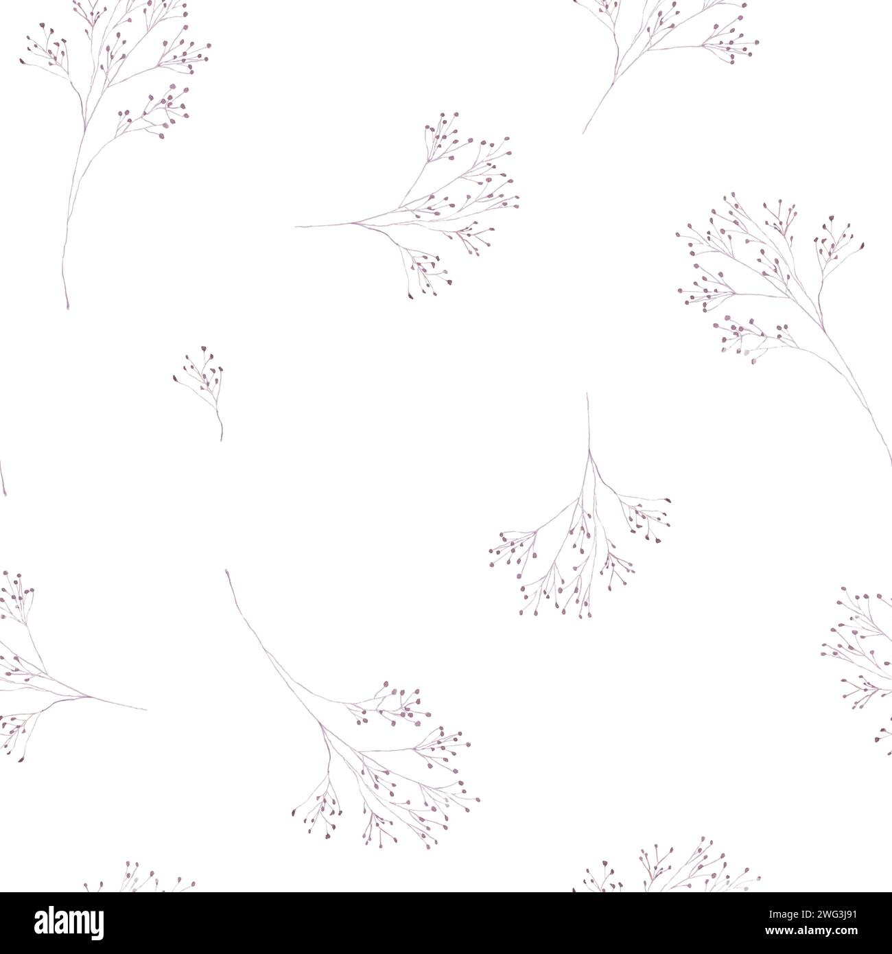 Autumn seamless plants pattern Cut Out Stock Images & Pictures - Alamy
