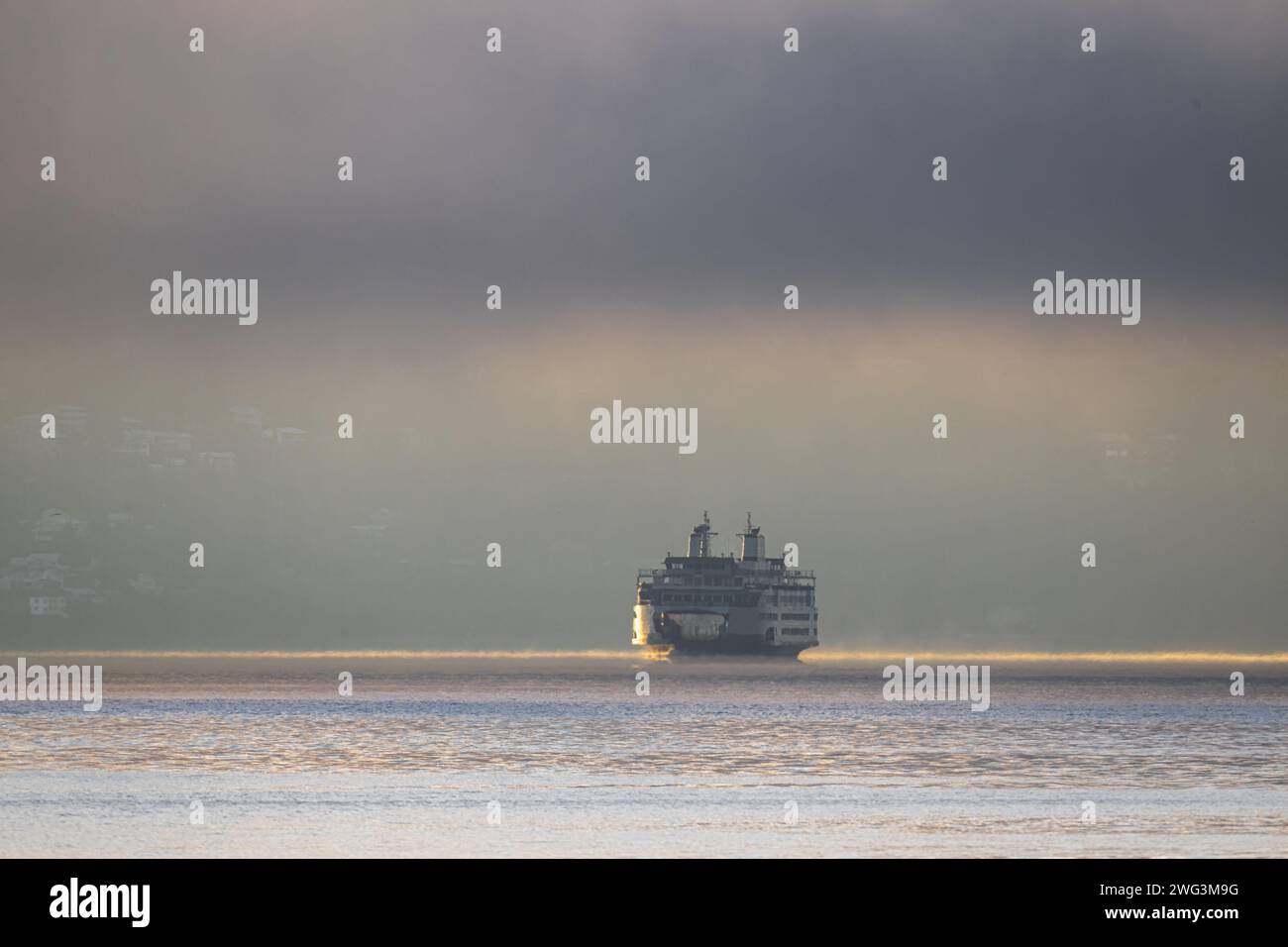 Evergreen state ferry hi-res stock photography and images - Alamy