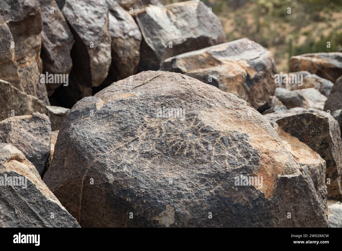 Petroglyphs on rocks in Saguaro National Park, Arizona Stock Photo - Alamy