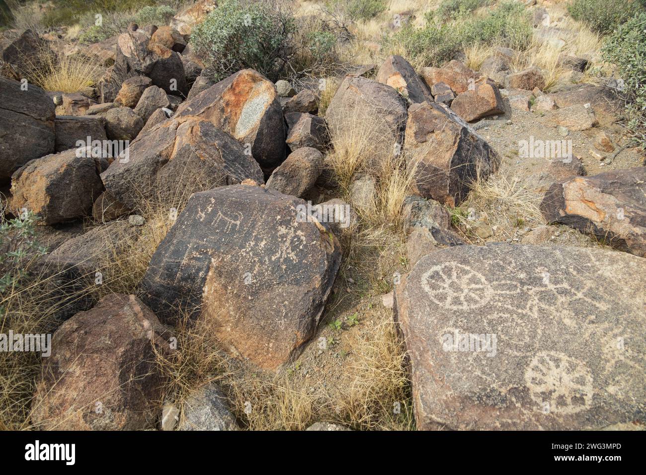 Petroglyphs on rocks in Saguaro National Park, Arizona Stock Photo - Alamy