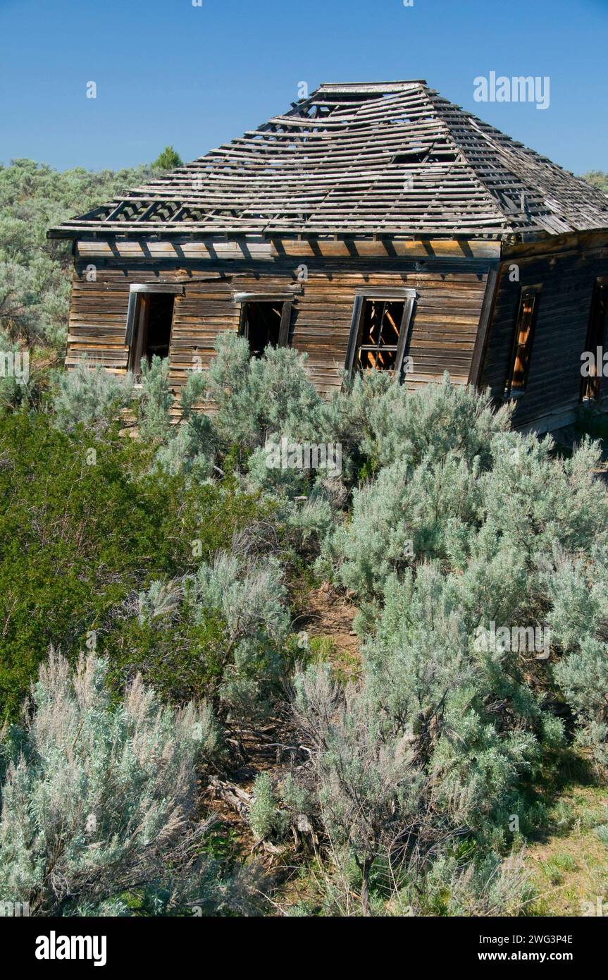 Old homestead, Wasco County, Oregon Stock Photo - Alamy