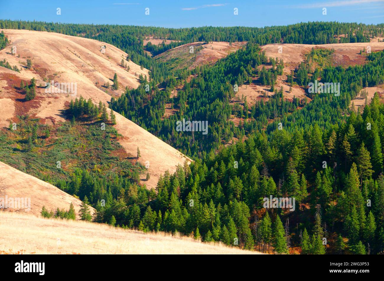 Squaw Creek Overlook view, Emigrant Springs State Park, Oregon Stock ...