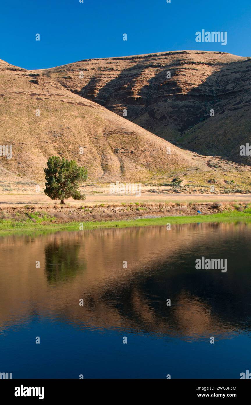 John Day River State Scenic Waterway, Murtha Ranch, Cottonwood Canyon ...