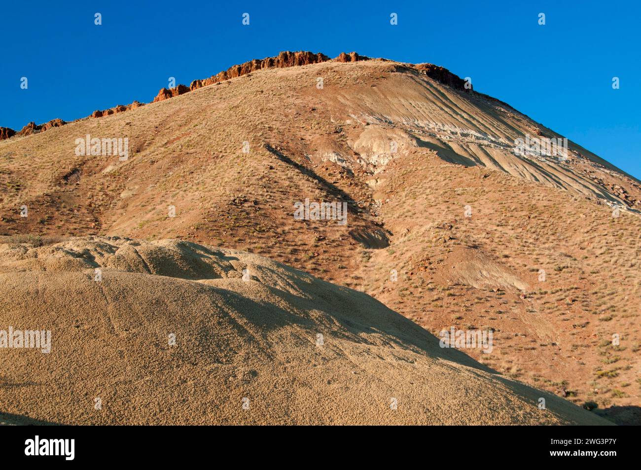 Carroll Rim, John Day Fossil Beds National Monument-Painted Hills Unit ...