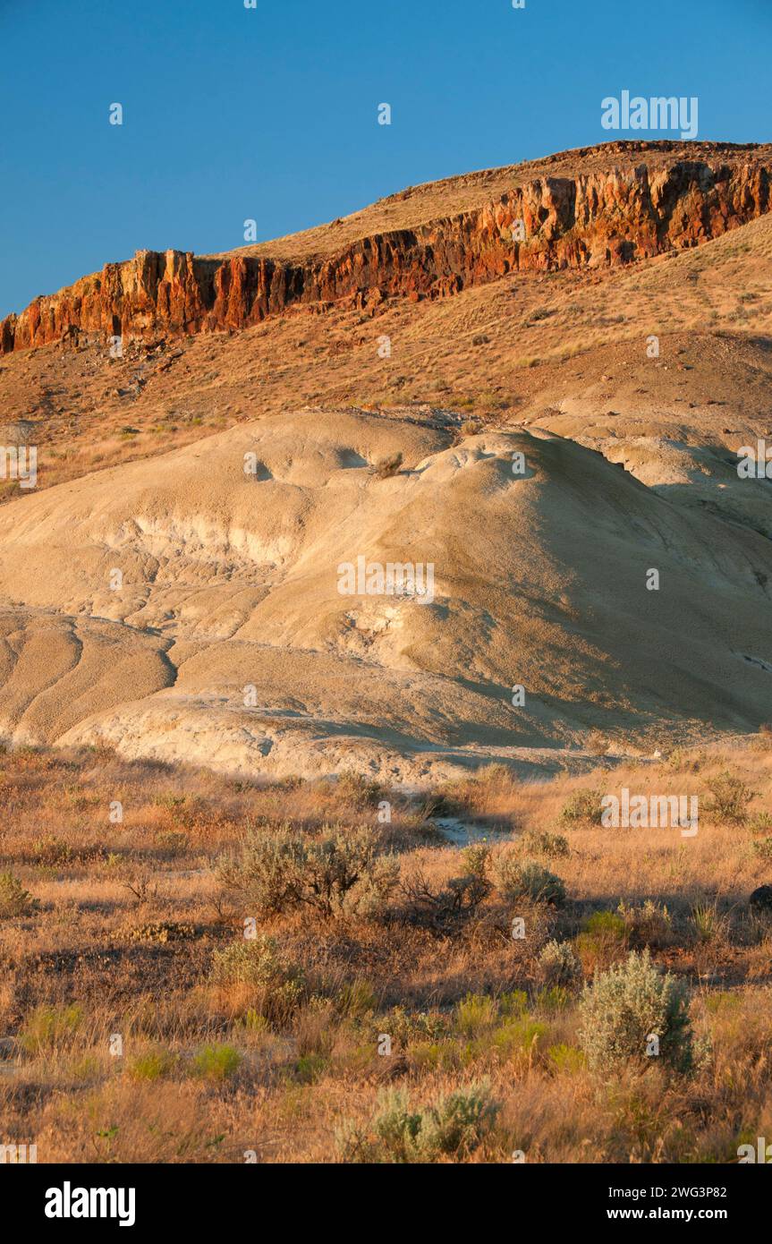 Clay outcrop, John Day Fossil Beds National Monument-Painted Hills Unit ...