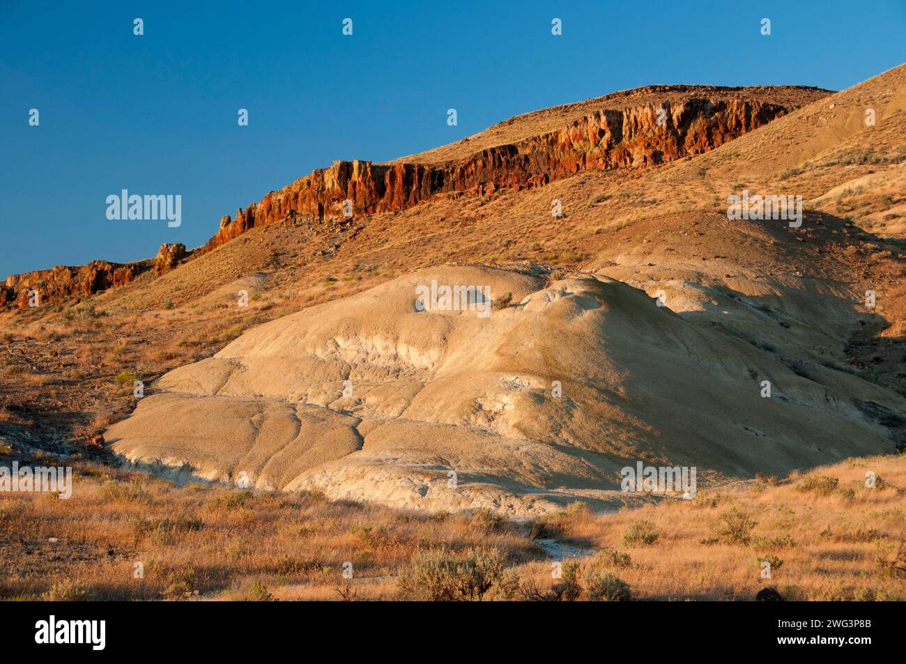 Clay outcrop, John Day Fossil Beds National Monument-Painted Hills Unit ...