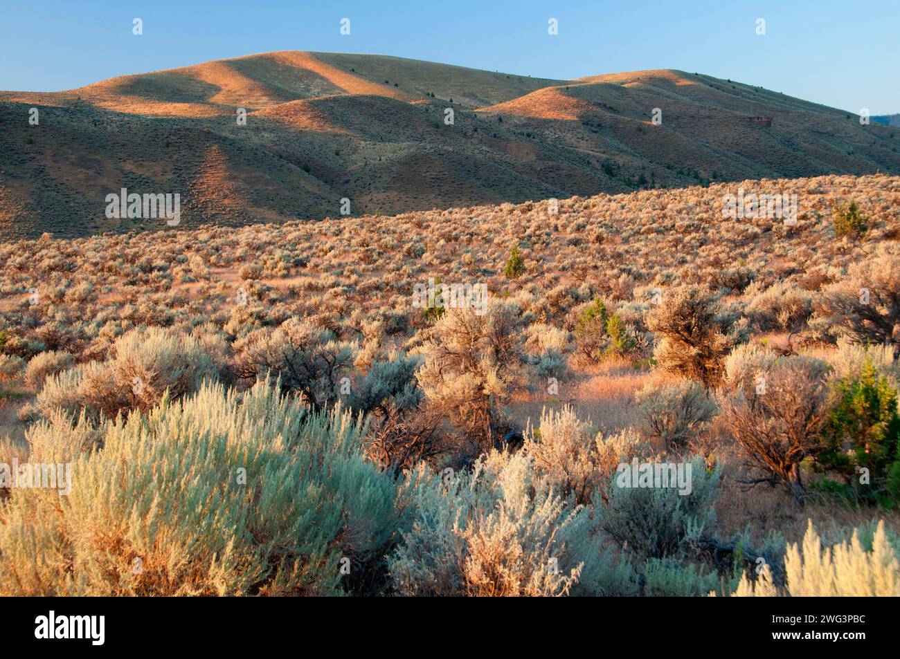 Mascall Formation Overlook view, John Day Fossil Beds National Monument ...
