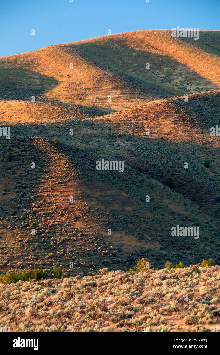 Mascall Formation Overlook view, John Day Fossil Beds National Monument ...