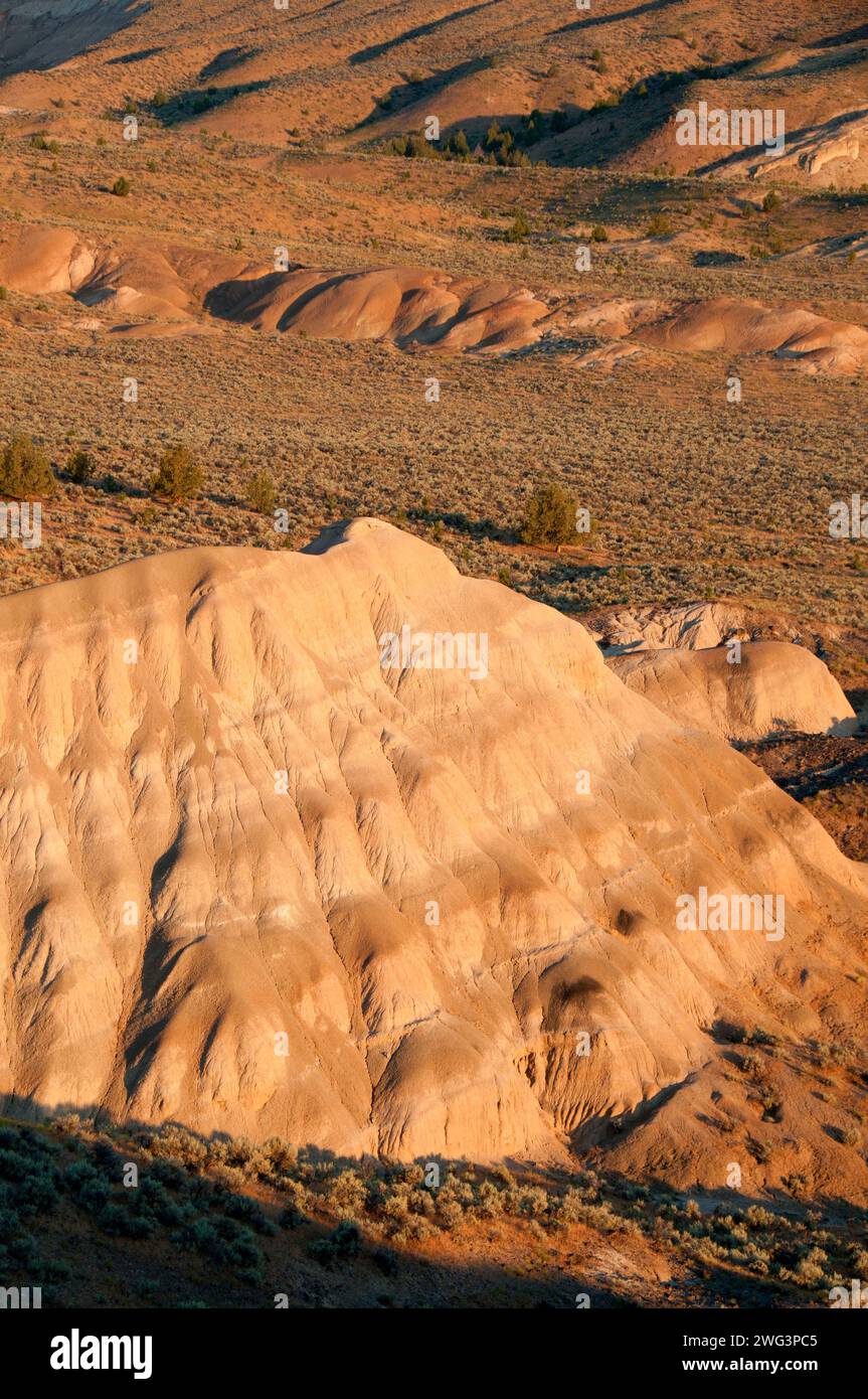 Mascall Formation Overlook view, John Day Fossil Beds National Monument ...