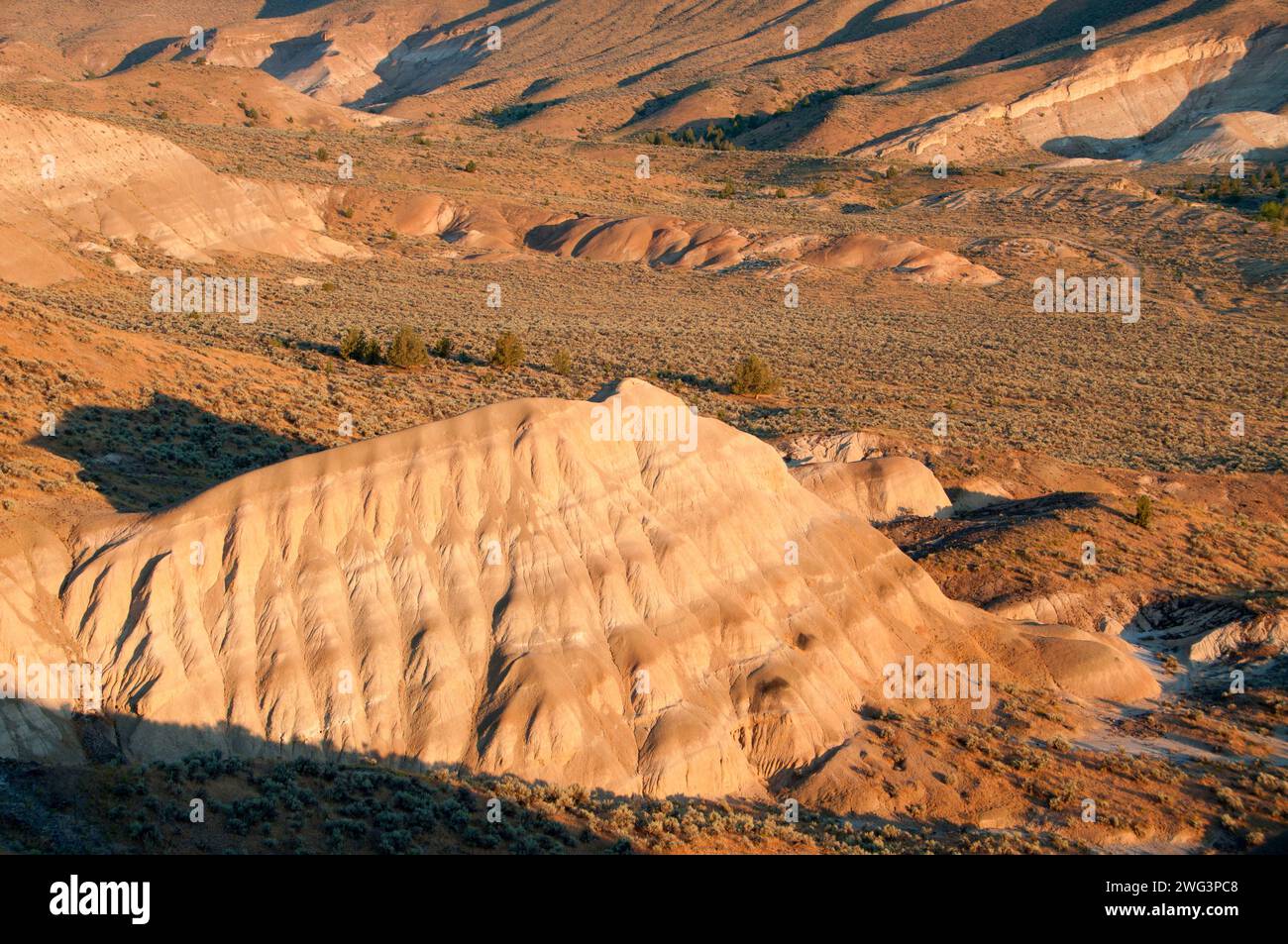 Mascall Formation Overlook view, John Day Fossil Beds National Monument ...