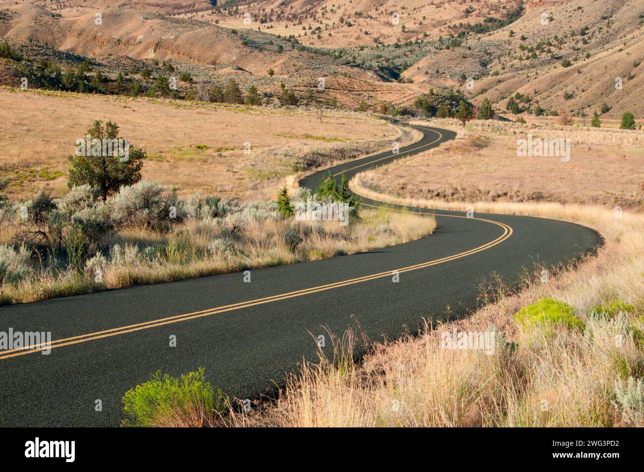 Road through sage grassland, John Day Fossil Beds National Monument ...