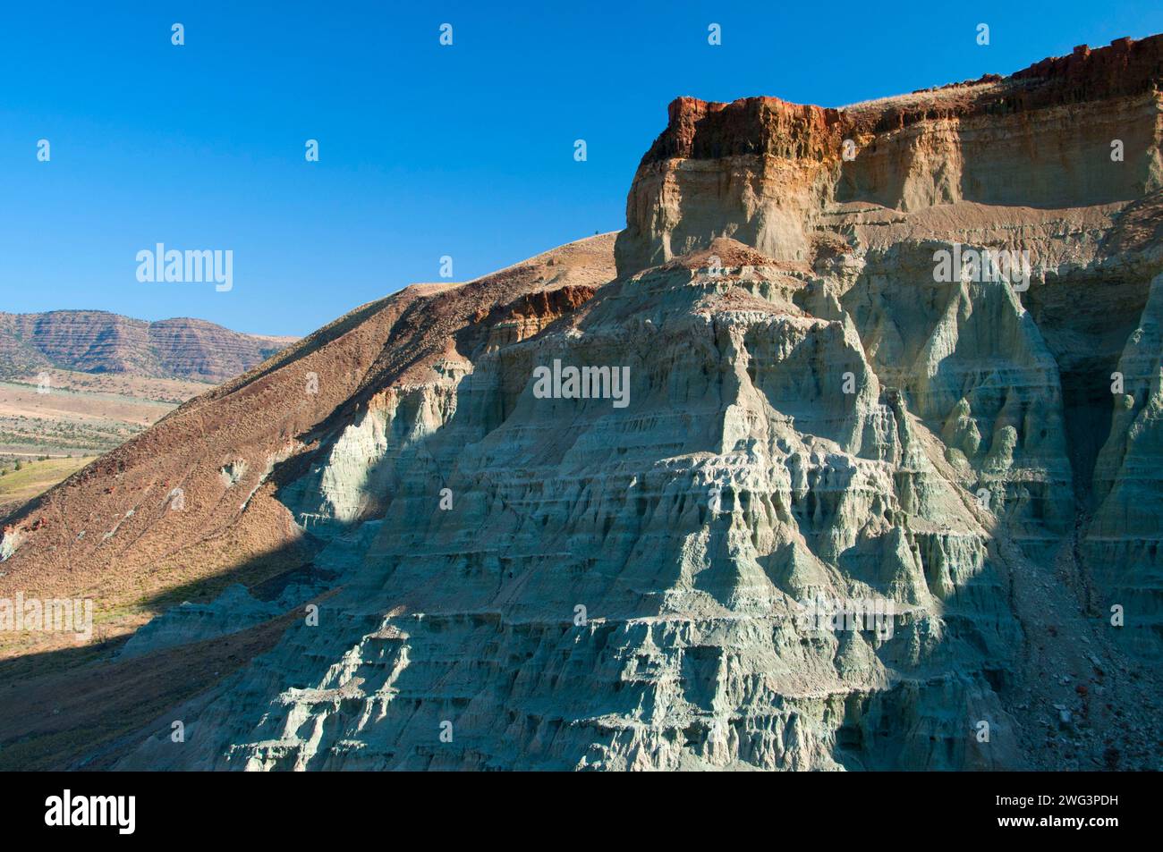 Green claystone at Foree, John Day Fossil Beds National Monument-Sheep ...