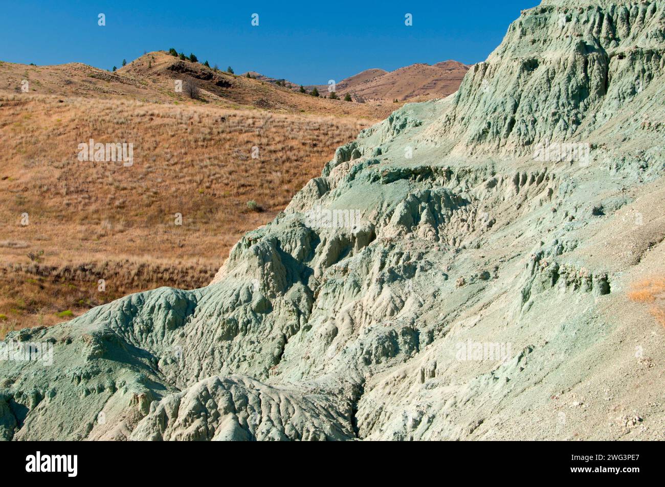 Foree beds hi-res stock photography and images - Alamy