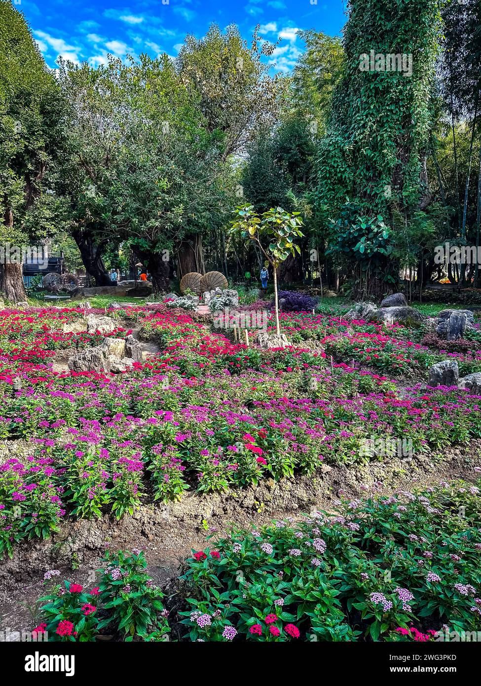 Dantewada land of angels waterfall park in Mae Taeng, Chiang Mai ...