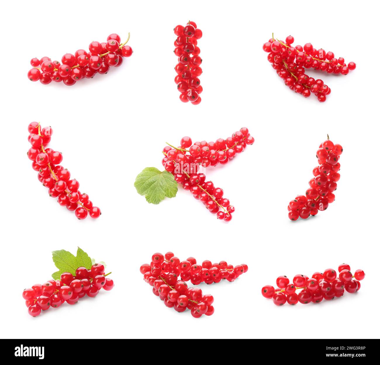 Fresh red currants on white background, collection Stock Photo - Alamy