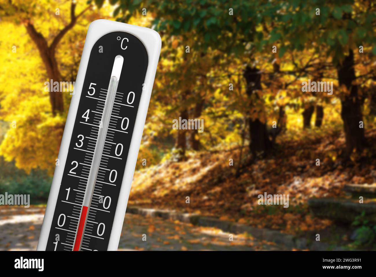 Thermometer and beautiful park outdoors. Temperature in autumn Stock ...