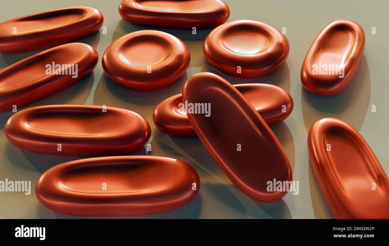3d rendering of Elliptocytes, also known as ovalocytes or cigar cells ...