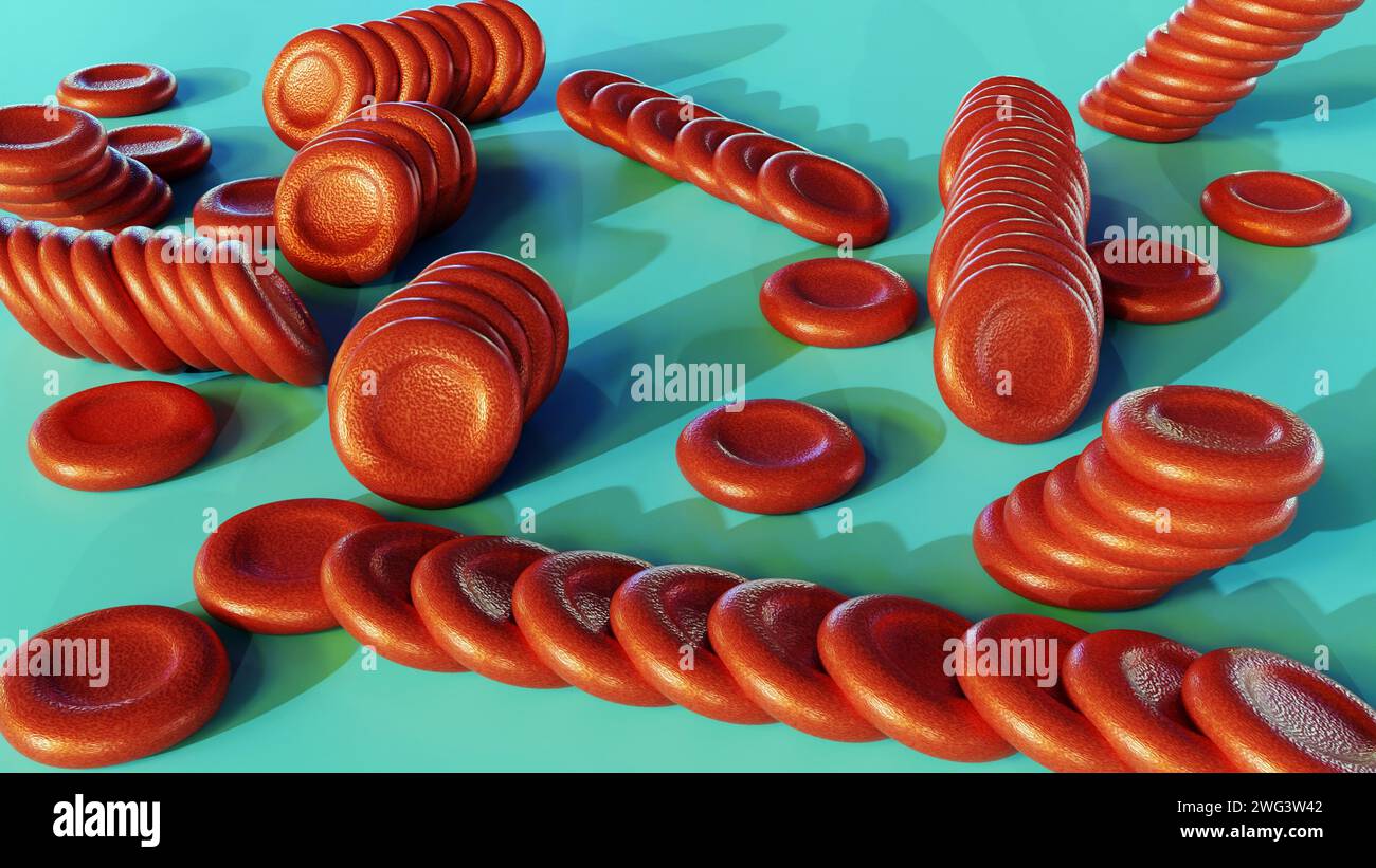 3d rendering of rouleaux, these are stacks or aggregations of red blood ...
